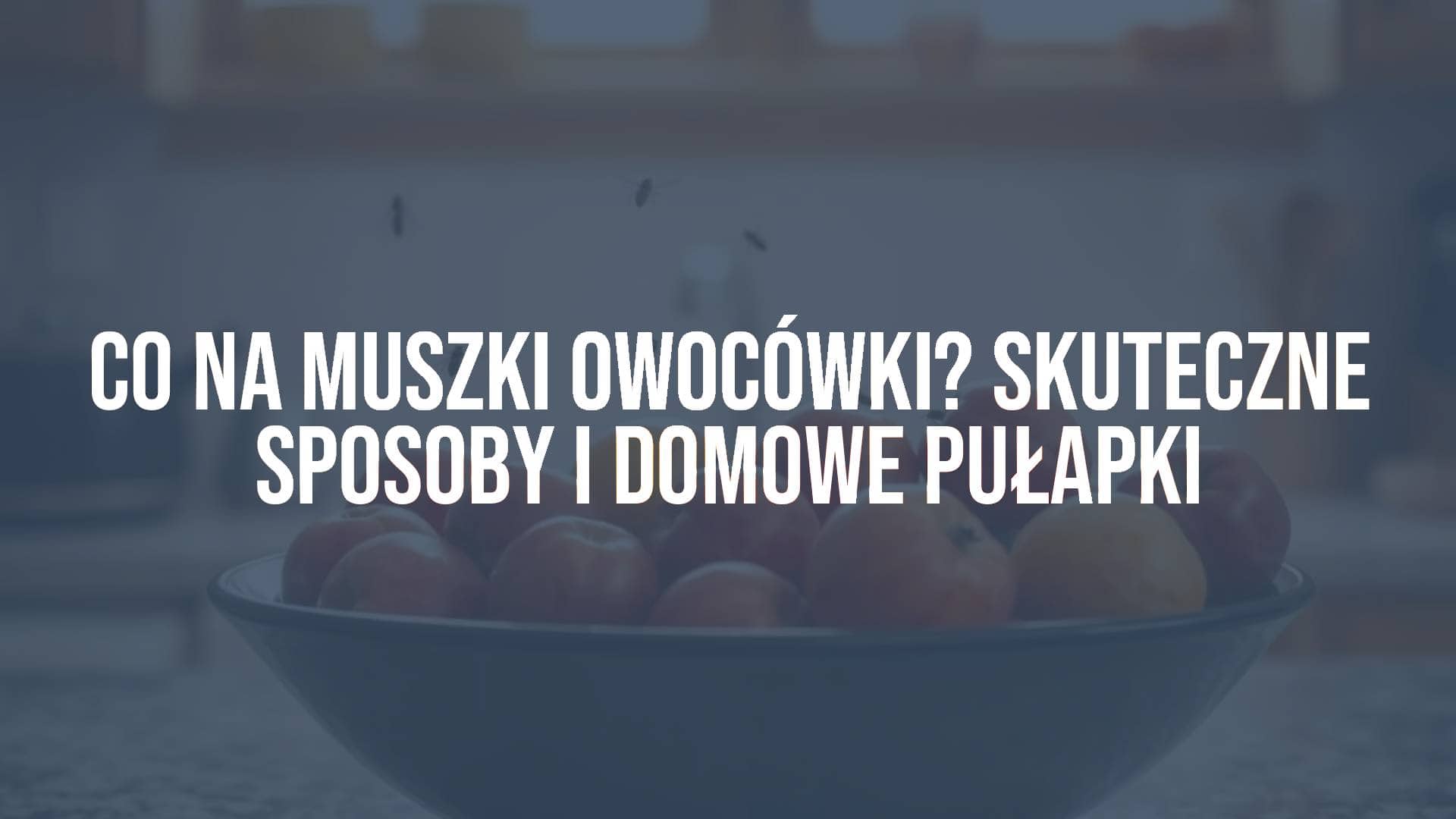Co na muszki owocówki? Skuteczne sposoby i domowe pułapki - Dobrowolnie.pl
